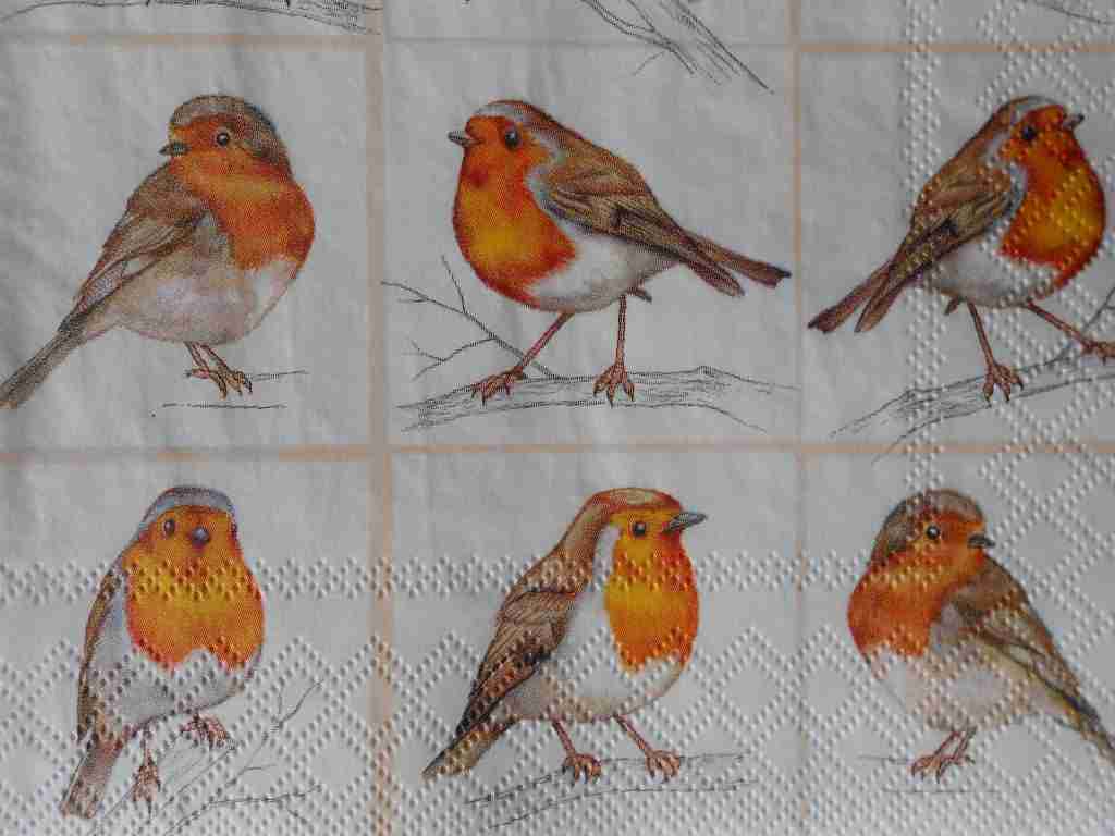 Red robin birds 9 images decoupage napkins – Decoupage Paper Online Shop