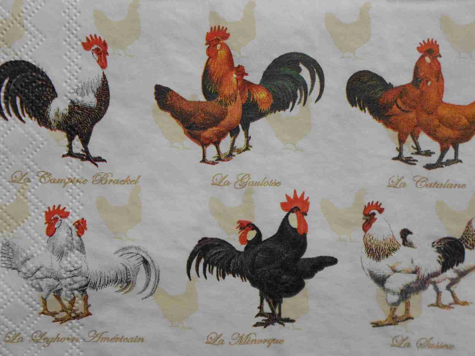Chicken couples decoupage napkins – Decoupage Paper Online Shop