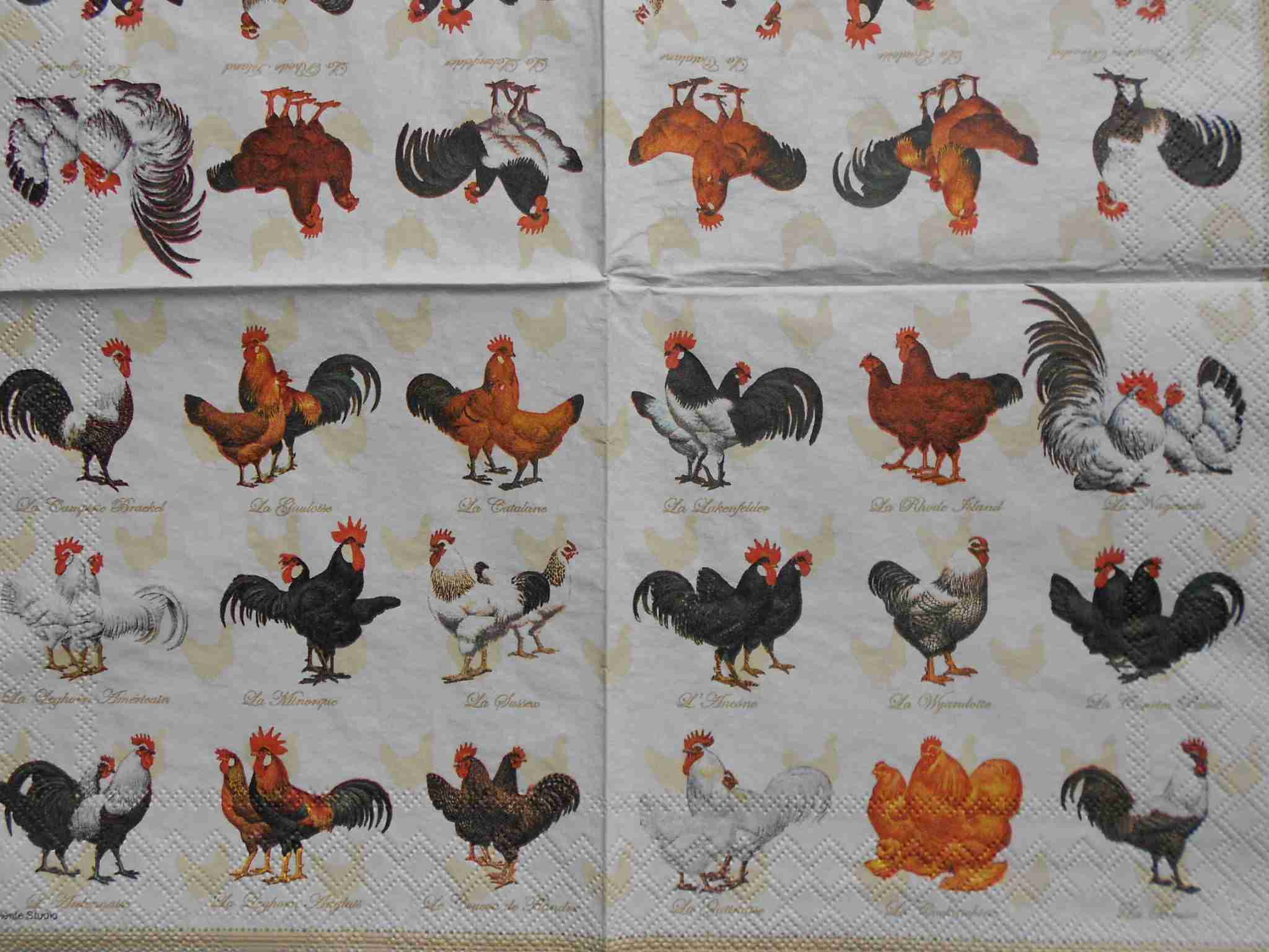 Chicken couples decoupage napkins – Decoupage Paper Online Shop